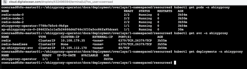 Deployment of application on ShinyProxy Operator, Kubernetes ...